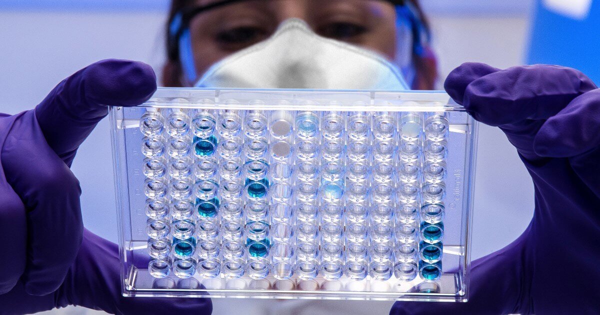 La Dra. Cristina Canal coordina la actividad europea en aplicaciones ...