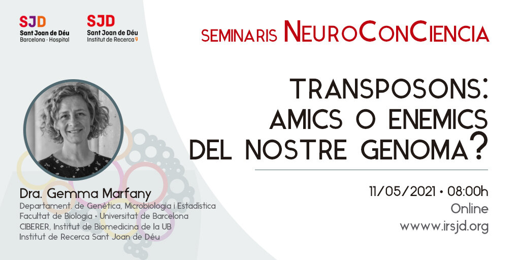 NeuroConCiencia: seminari de neurociència · Dra. Gemma Marfany | Institut de Recerca SJD